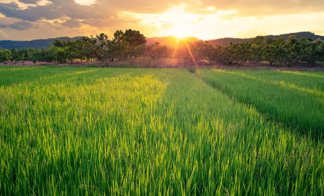 Agri News | Agriculture Newspaper | Newspaper