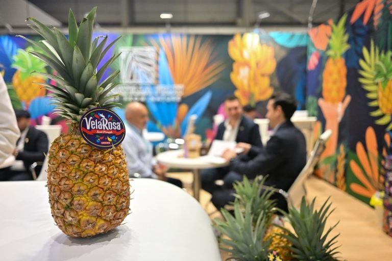 Fruit Logistica 2026: A Strategic Gateway for Global Fresh Produce